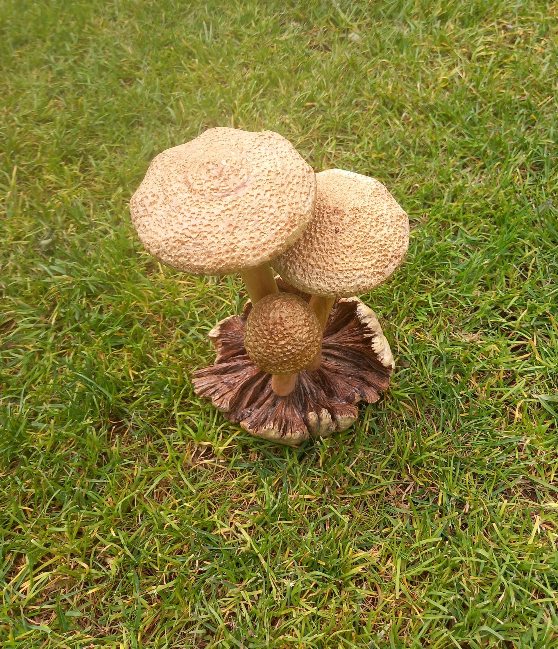 Amazingly Realistic Toadstool Set Carved to a High Standard With ...