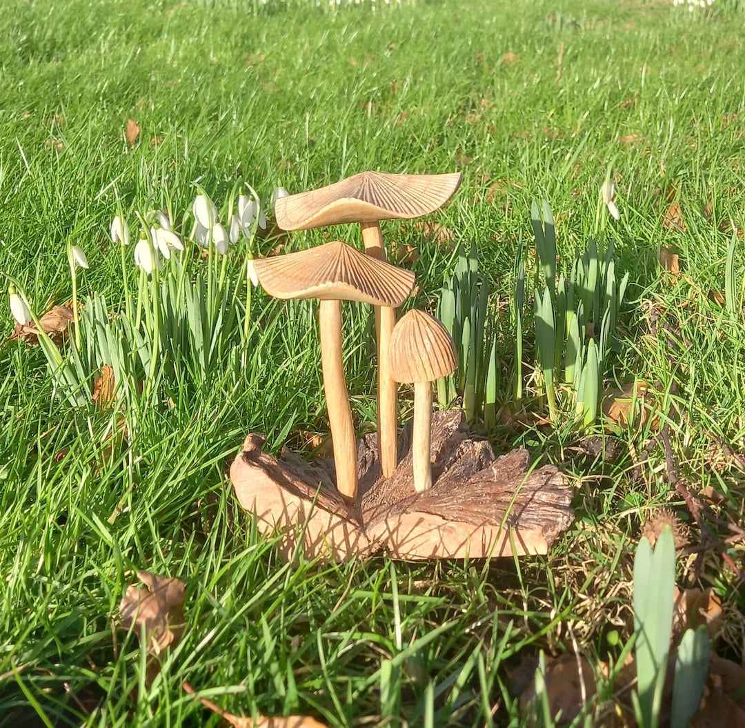 Amazingly Realistic Mushroom Set Carved to a High Standard With ...