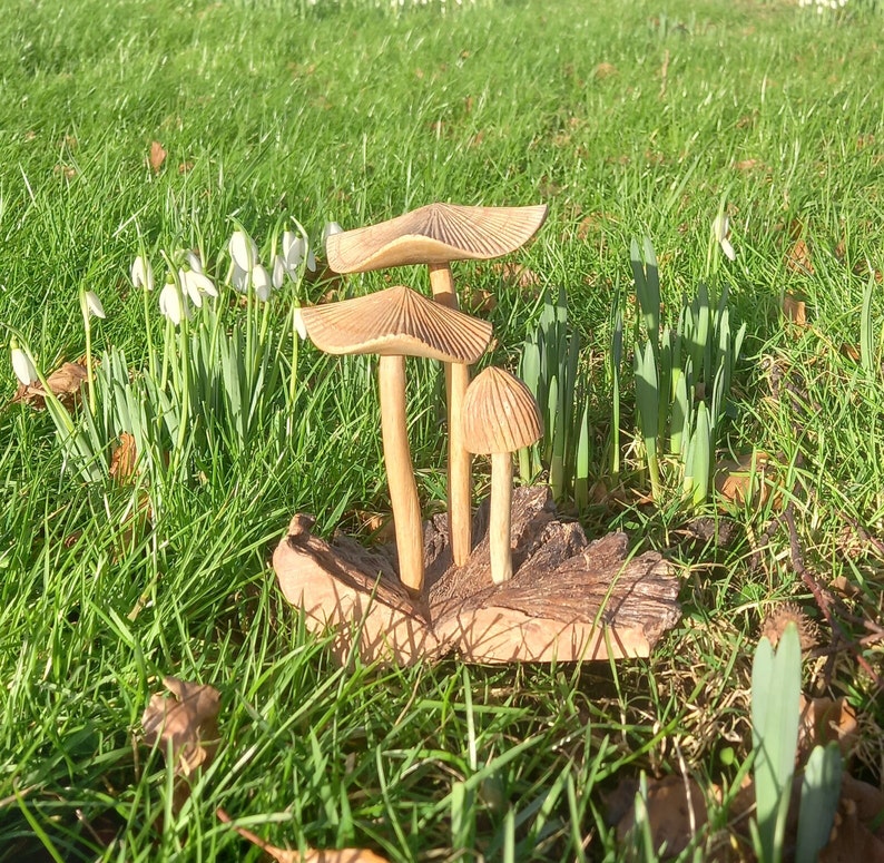 Amazingly Realistic Mushroom Set Carved to a High Standard With ...