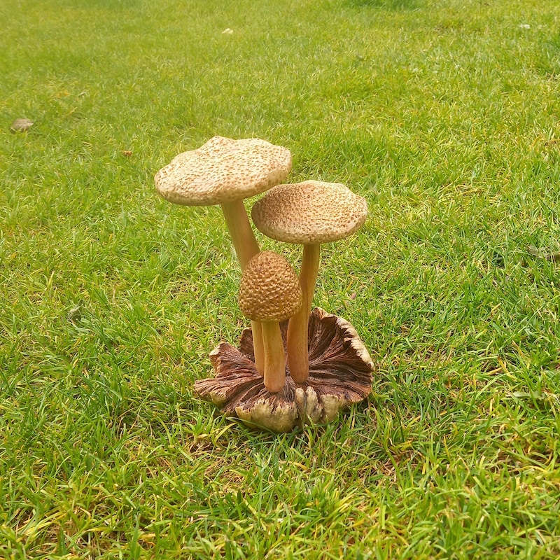 Toadstools - Etsy