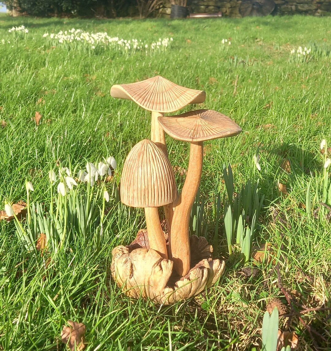 Amazingly Realistic Mushroom Set Carved to a High Standard With ...