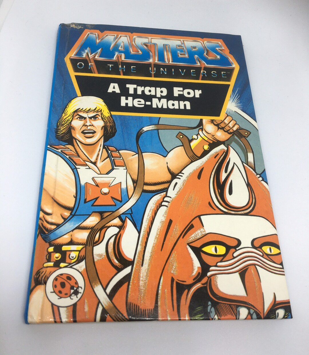 Vintage he man rare Ladybird book He man book first edition - Etsy France