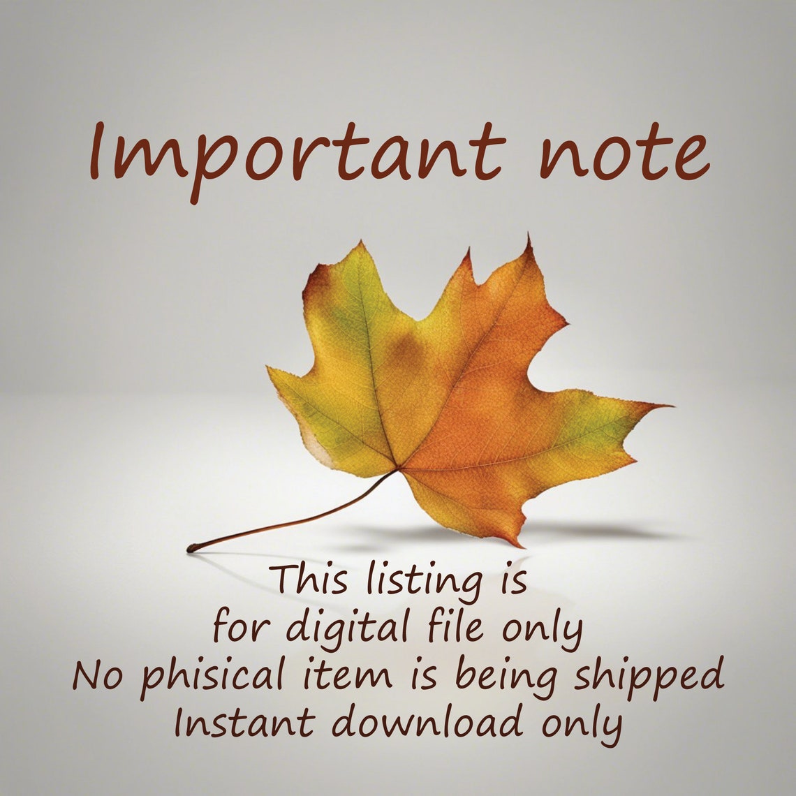 Halloween Bundle Halloween PNG Bundle Fall PNG Bundle - Etsy