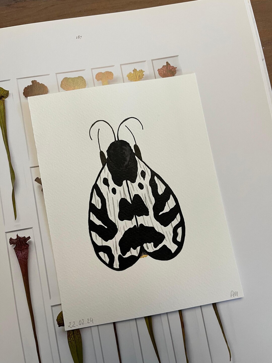 Painting Watercolor Insect Black Contrast 12x16cm | Handmade | Original ...