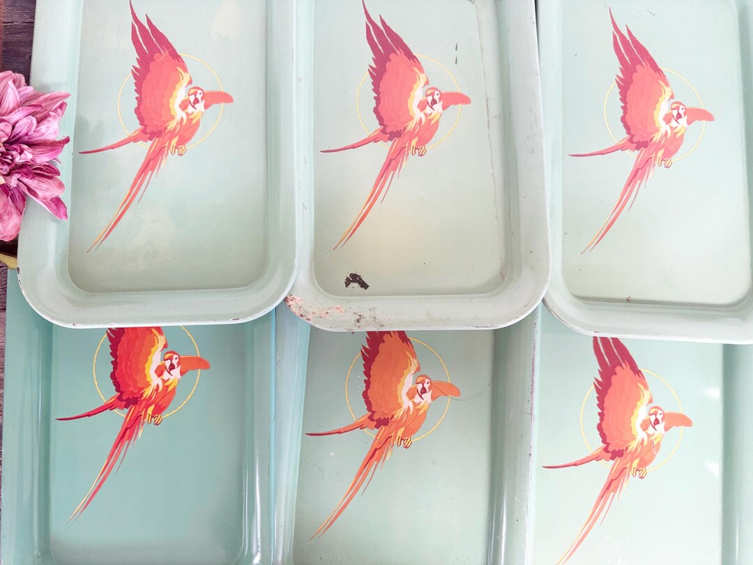 Vintage Parrot TV Trays, Serving Lap Trays, Set of 6 Mid Century Mod ...