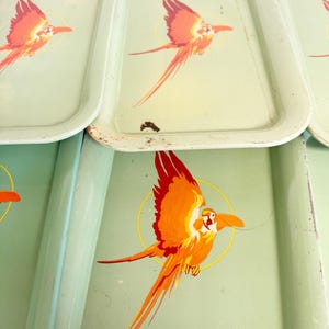 Vintage Parrot TV Trays, Serving Lap Trays, Set of 6 Mid Century Mod ...