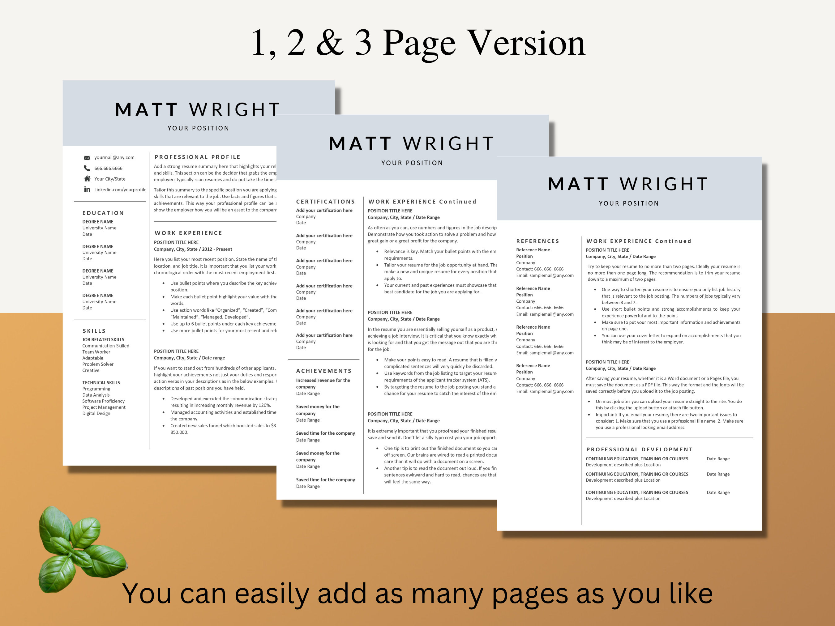 Resume Template Google Docs, Clean, Modern Resume Template for Google ...