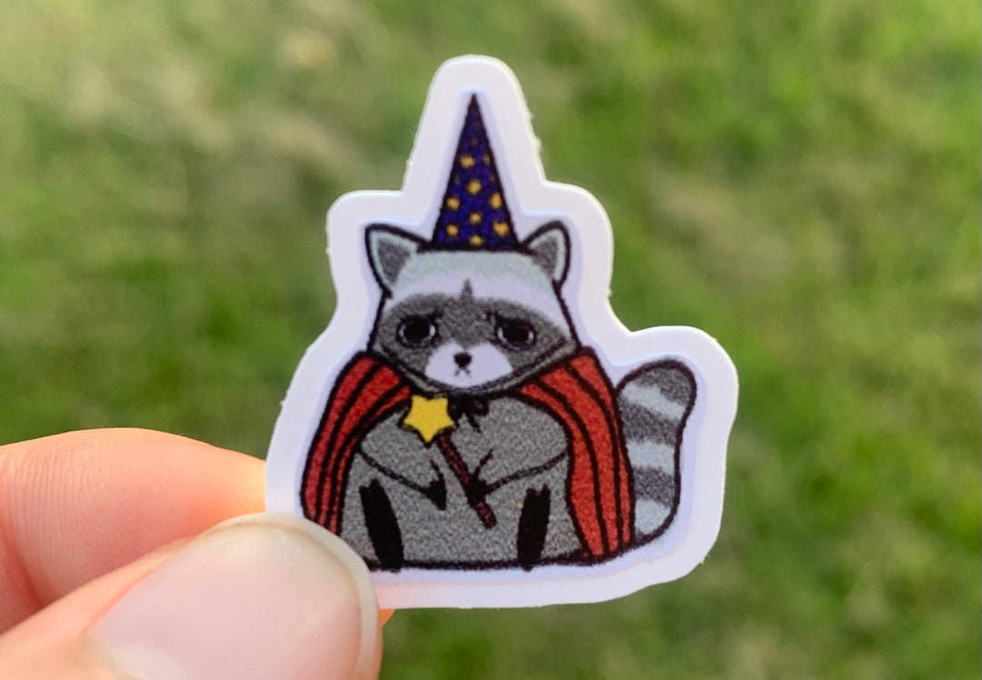 10 Pack Raccoon Wizard Mini Sticker Flakes / Cute Funny Fantasy Genre ...