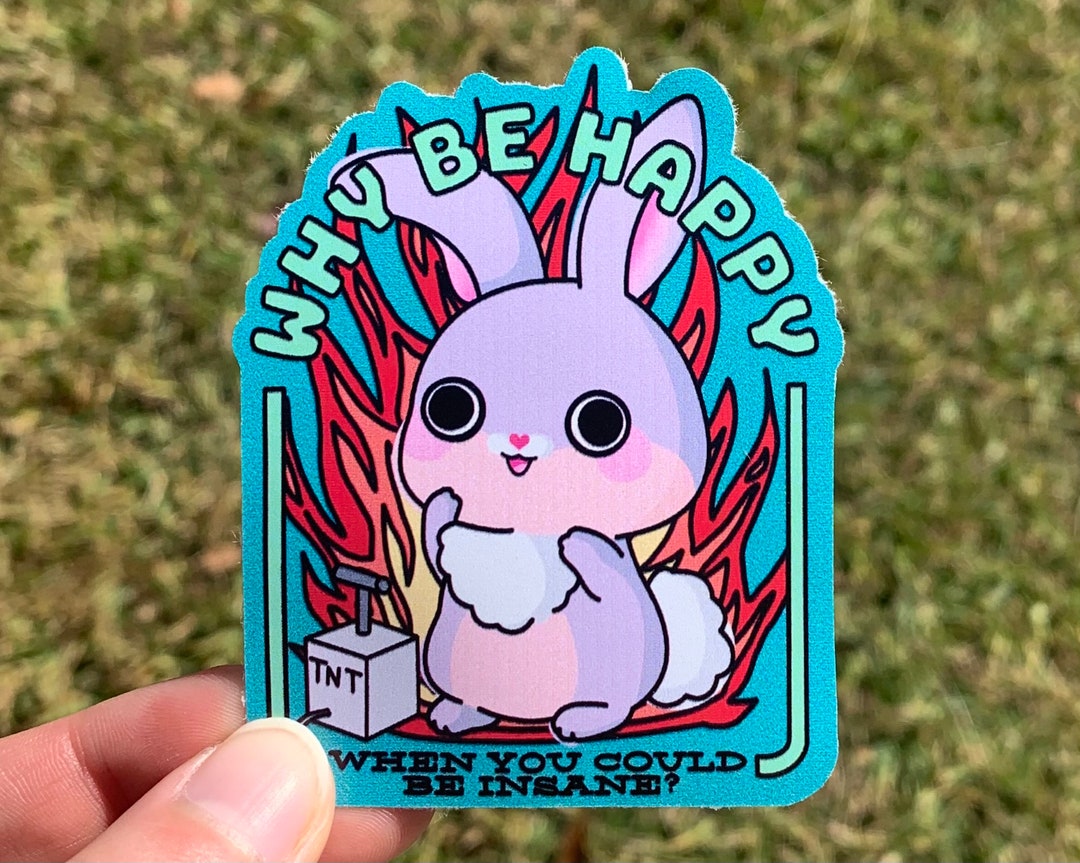 Why Be Happy When You Could Be Insane Rabbit Car Bumper Sticker / Cute ...