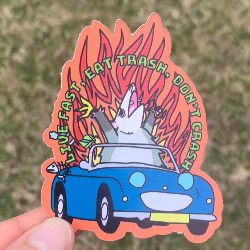 Funny Card Drivers Permit - Etsy