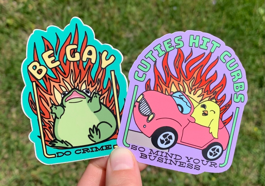 2 Pack Queer People Can't Drive Stereotype Car Bumper Stickers / Cute ...