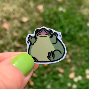 10 Pack Woebegone Animal Mini Sticker Flakes / Cute Funny Frog Cow ...