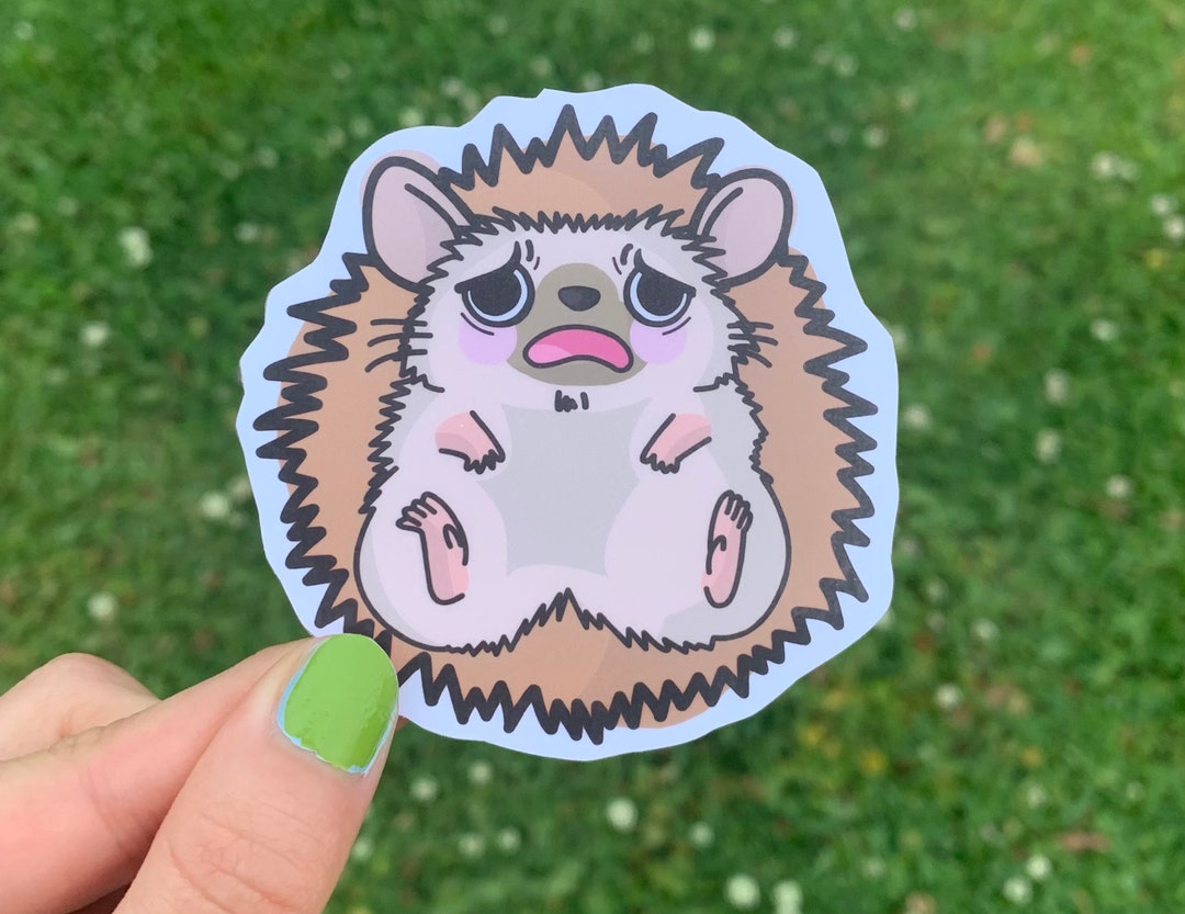 Scared Sad Terrified Hedgehog Sticker / Cute Funny Weird Unique Pet ...