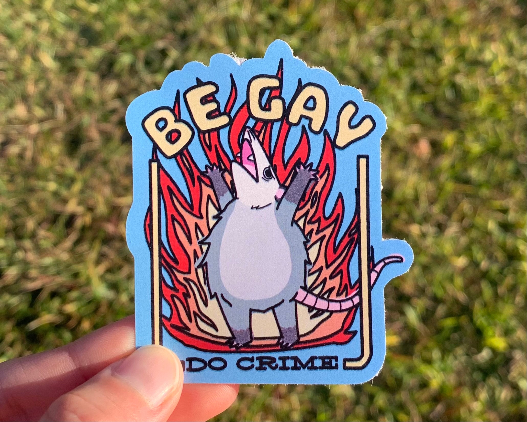 2 Pack Queer Opossum and Gender Fluid Frog Car Bumper Stickers - Etsy