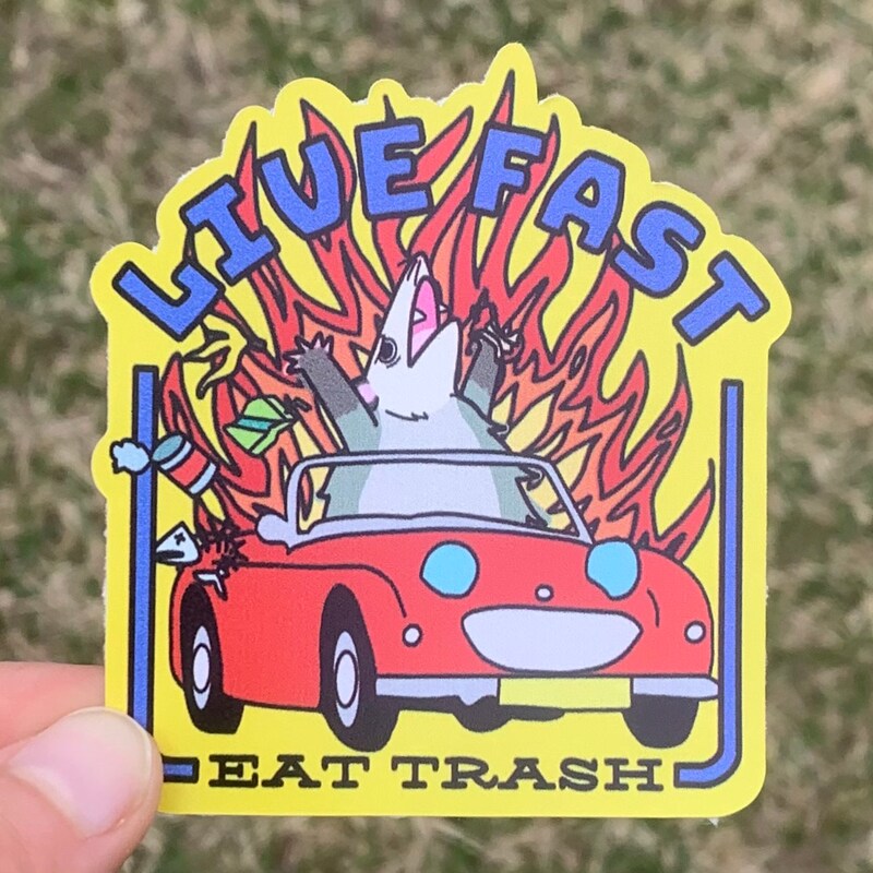 Funny Card Drivers Permit - Etsy