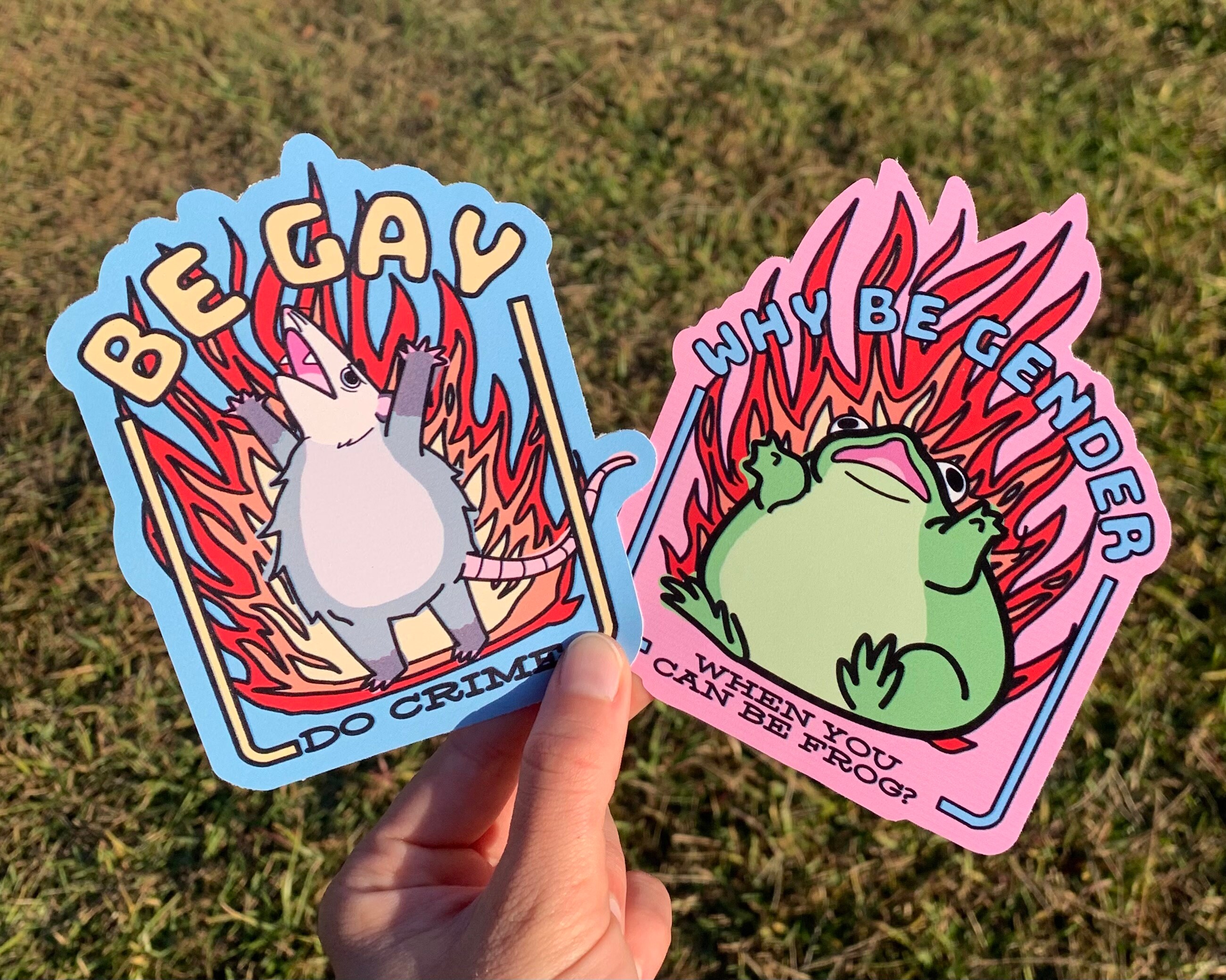 2 Pack Queer Opossum and Gender Fluid Frog Car Bumper Stickers - Etsy