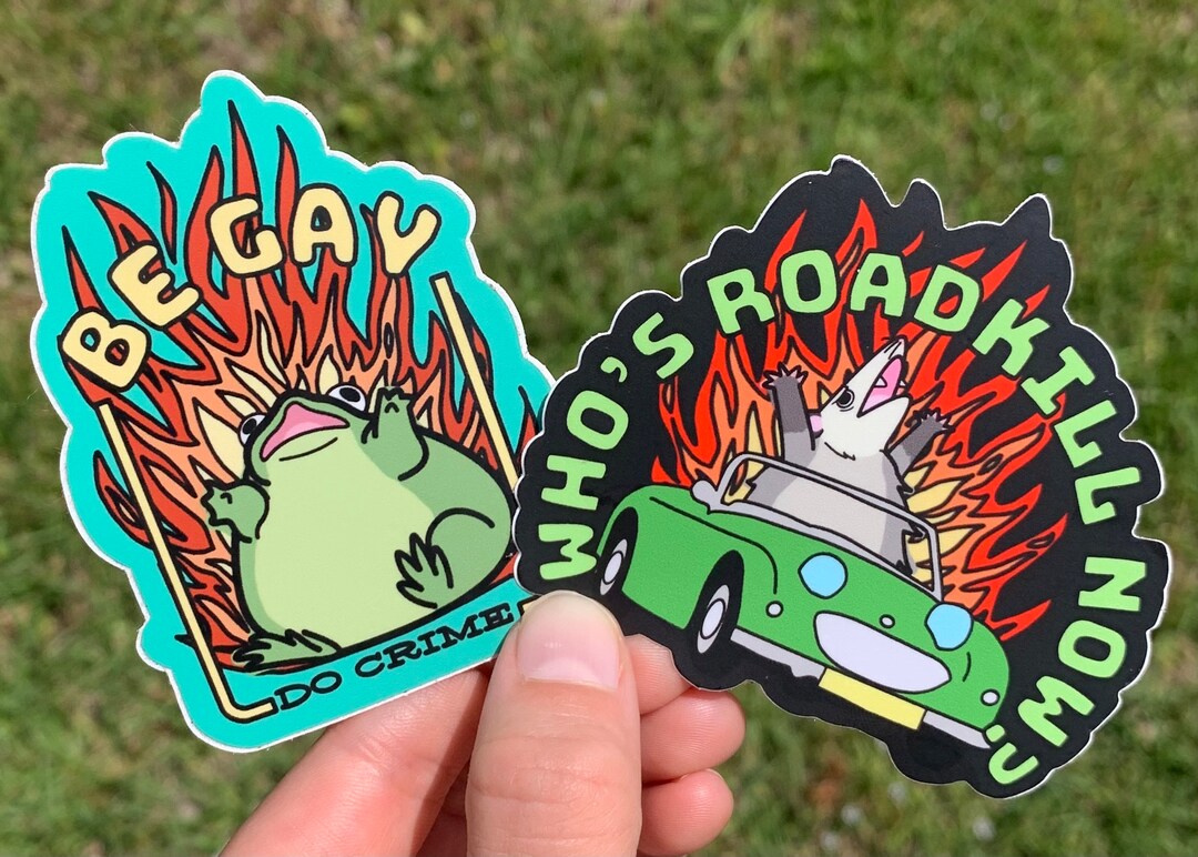 2 Pack Chaotic Queer Terror Car Bumper Stickers / Cute Funny Who's ...