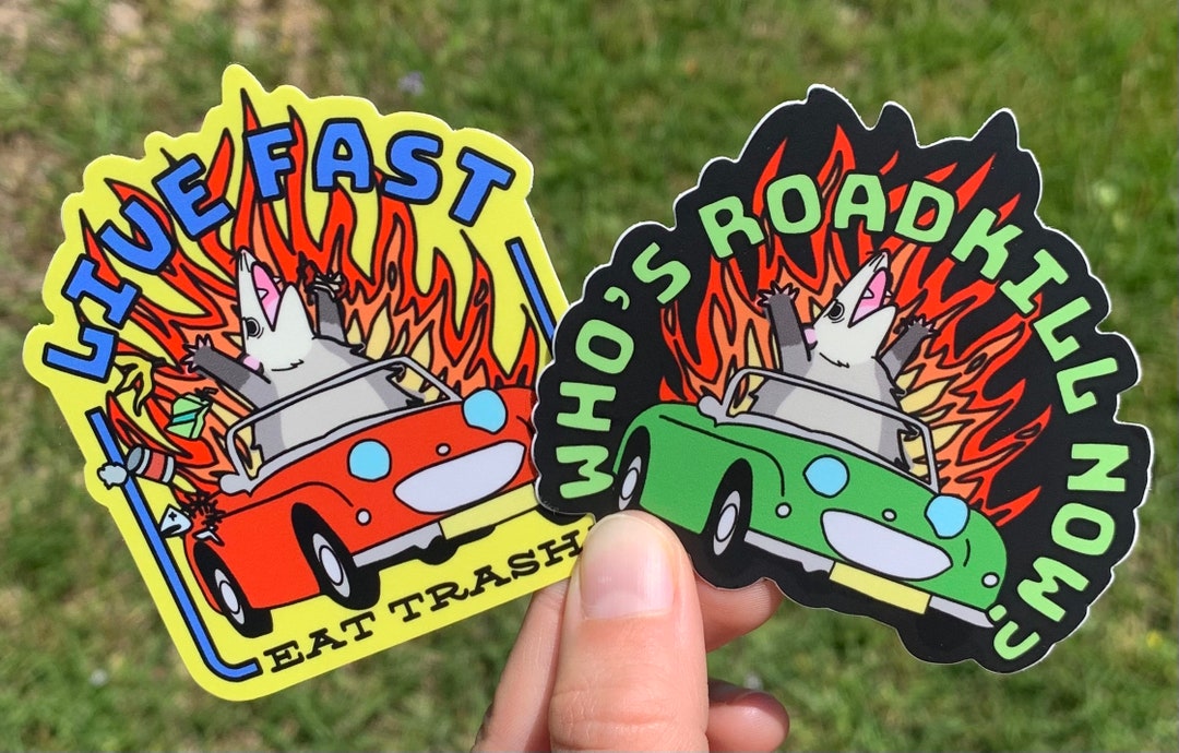 2 Pack Crazy Possum Driving Car Bumper Stickers / Live Fast Eat Trash ...