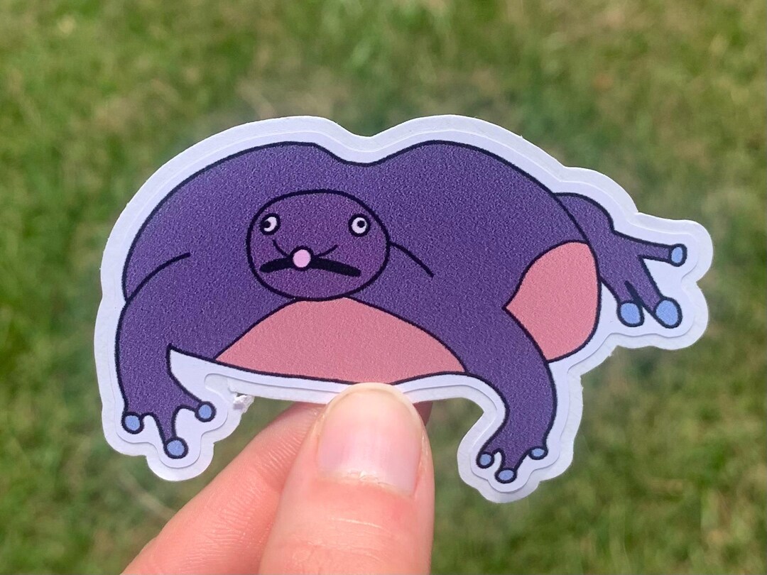 Indian Purple Pignose Frog Sticker / Cute Funny Car Bumper Decal Water ...