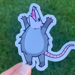 2 Pack Frog and Opossum Woebegone Goods Stickers / Cute Funny Raging ...