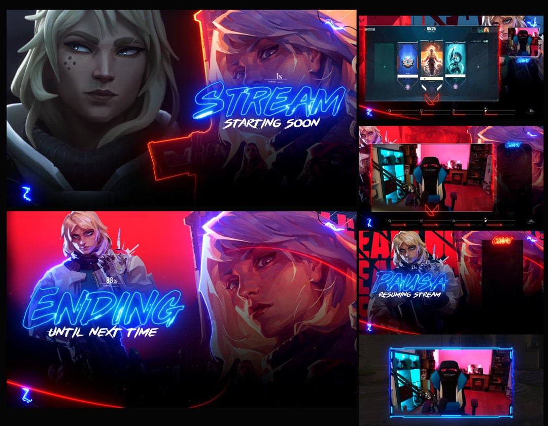 DEADLOCK Valorant - Animated Stream Overlays Pack - WEBM Format ...