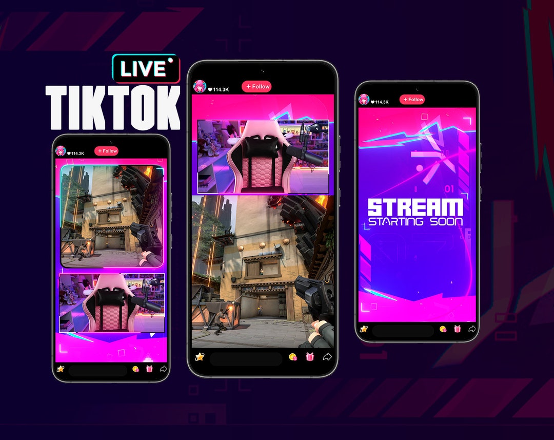 Neon Pink TIKTOK Streaming Overlay Pack - Tiktoklive Animated Design - Etsy