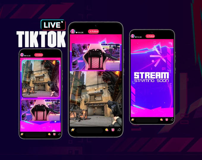 Overlay Streaming Gaming Tik Tok Animated Gaming Setup Neon - Etsy