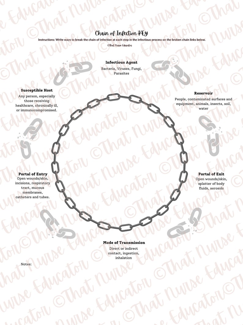 Infection Bundle for Nursing and Allied Health Instructors Including ...