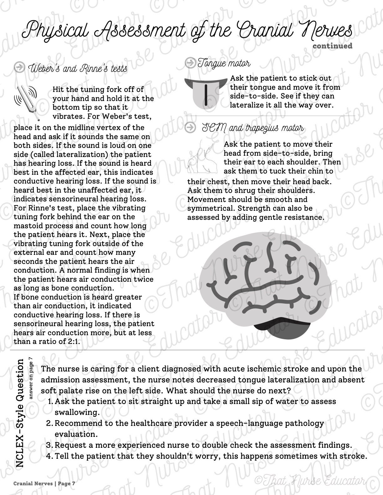 Cranial Nerve Edition of That Nursing Study Guide: Printable | Etsy