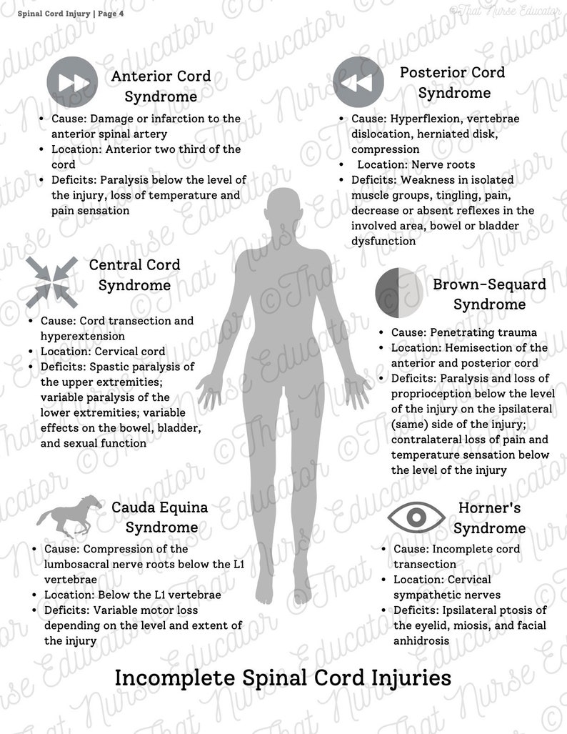 Spinal Cord Injury Edition of That Nursing Study Guide Nursing School ...