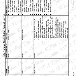 Cranial Nerve Edition of That Nursing Study Guide: Printable Cheat ...