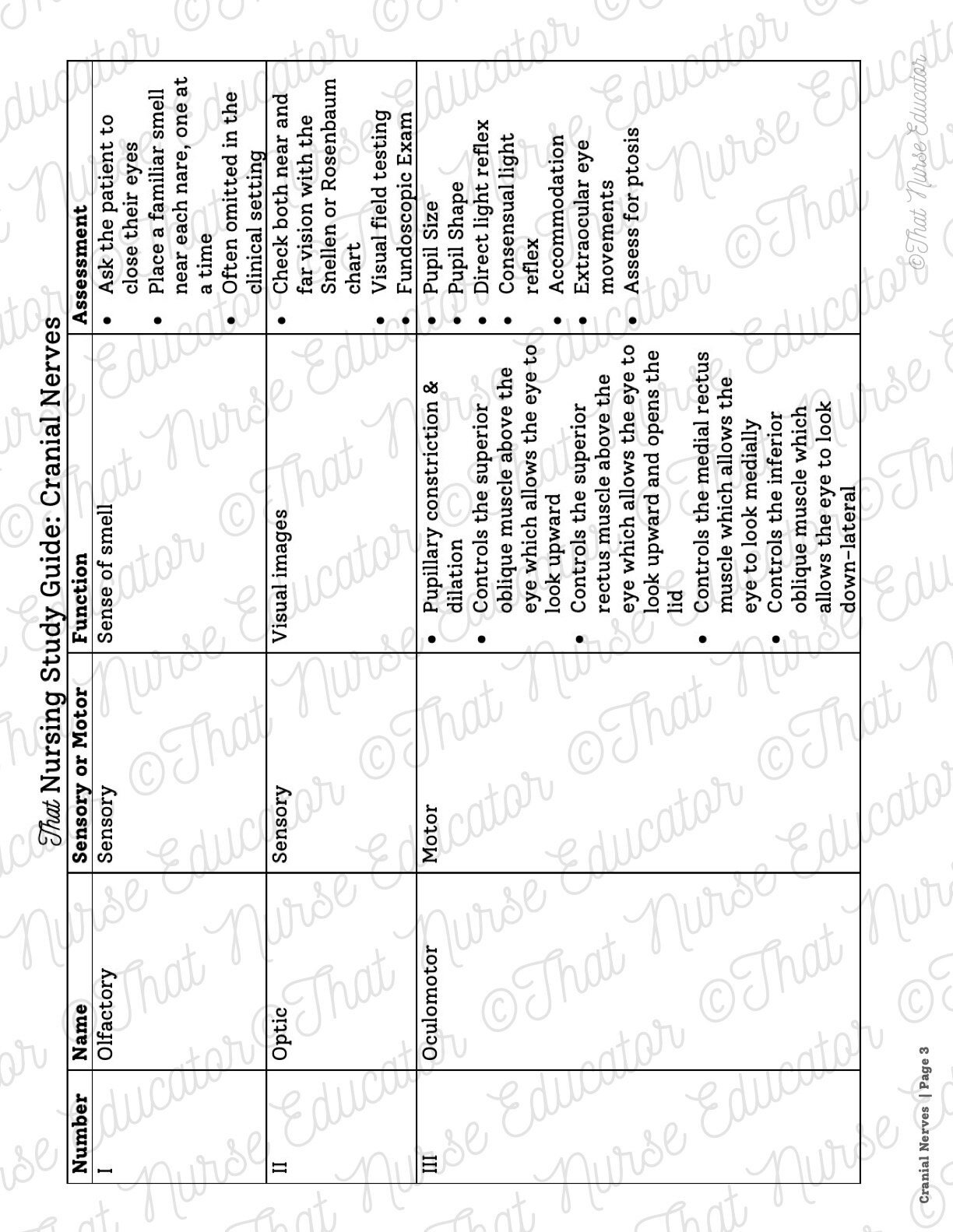 Cranial Nerve Edition of That Nursing Study Guide: Printable Cheat ...