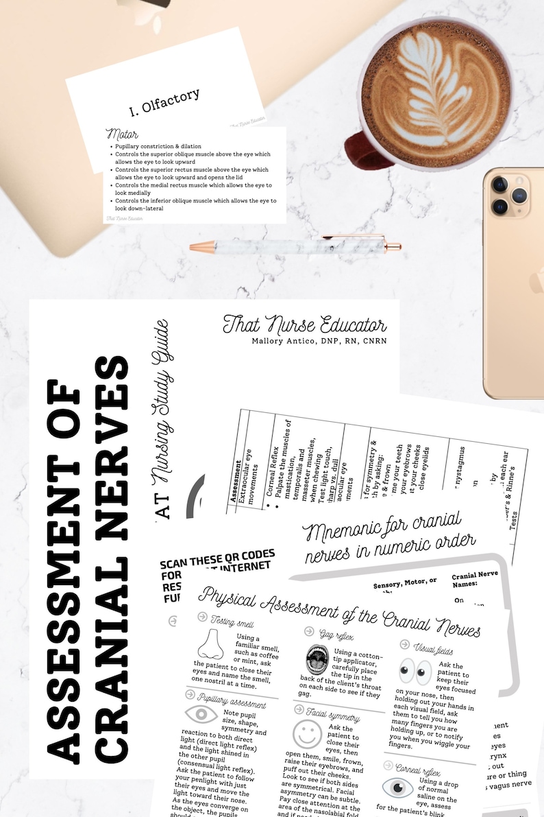 Cranial Nerve Edition of That Nursing Study Guide: Printable Cheat ...