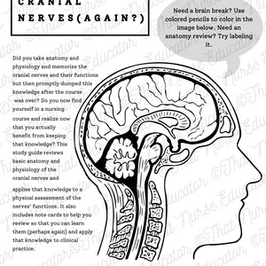 Cranial Nerve Edition of That Nursing Study Guide: Printable Cheat ...