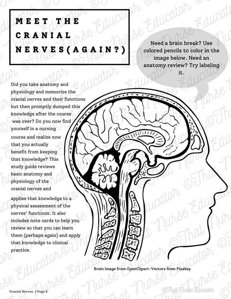 Cranial Nerve Edition of That Nursing Study Guide: Printable Cheat ...