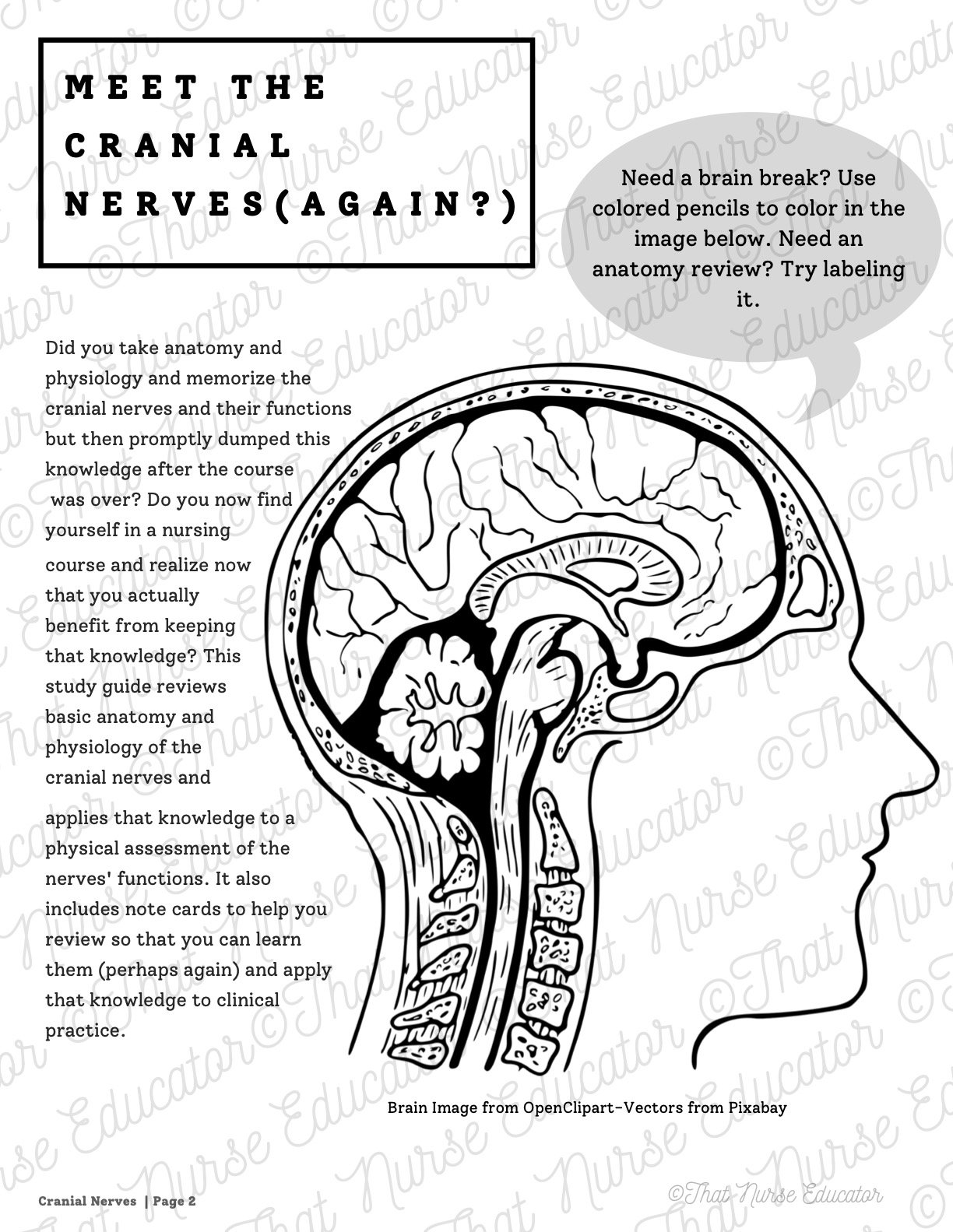 Cranial Nerve Edition of That Nursing Study Guide: Printable Cheat ...
