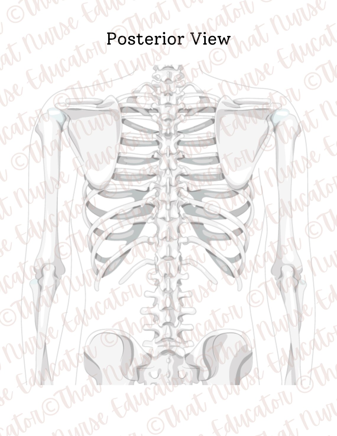 ECG Lead Placement Activity for 12-lead 15-lead and 5-lead Plus Bonus ...