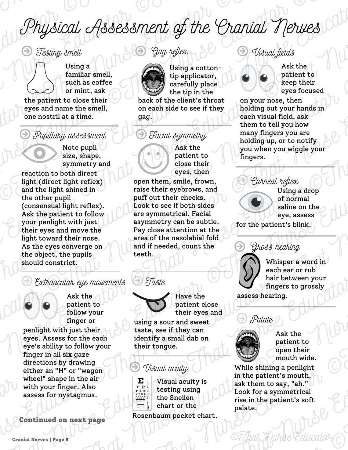Cranial Nerve Edition of That Nursing Study Guide: Printable Cheat ...