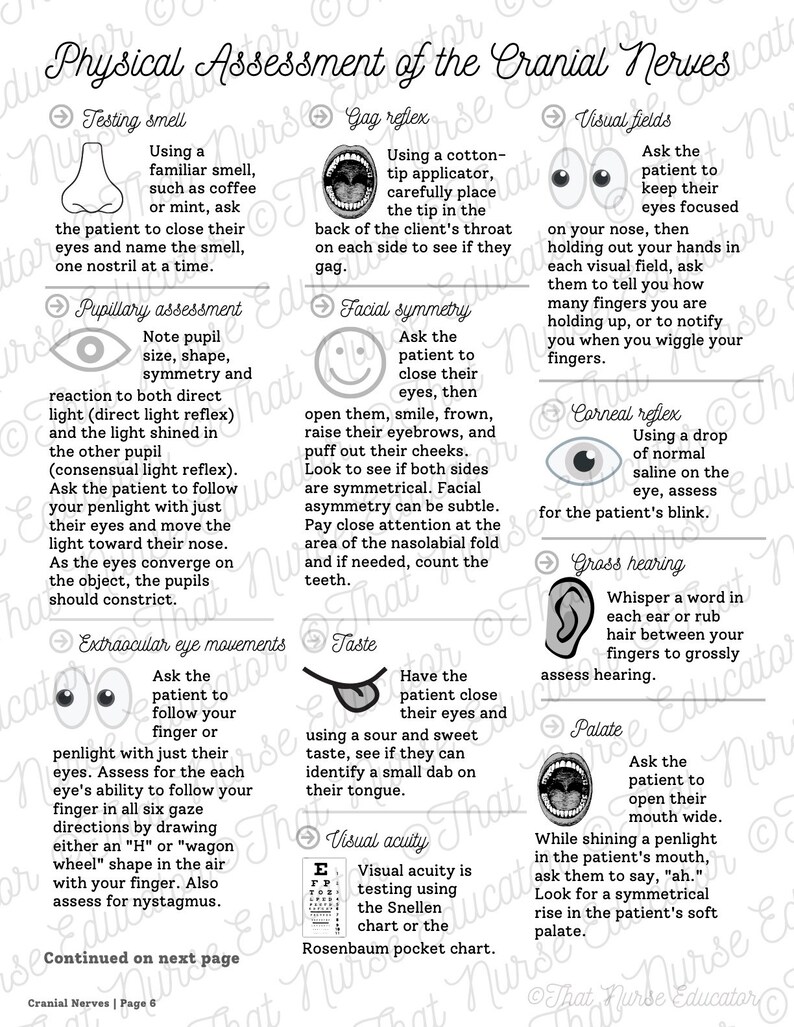 Cranial Nerve Edition of That Nursing Study Guide: Printable Cheat ...