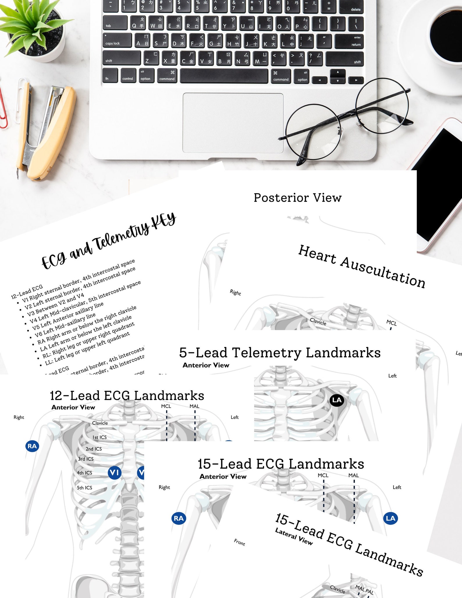 ECG Lead Placement Activity for 12-lead 15-lead and 5-lead Plus Bonus ...