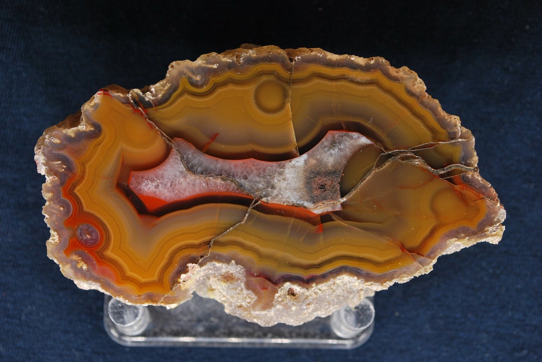 Gold Laguna Agate Arco Iris Mine Polished Display Specimen. 9.5cm X 5 ...