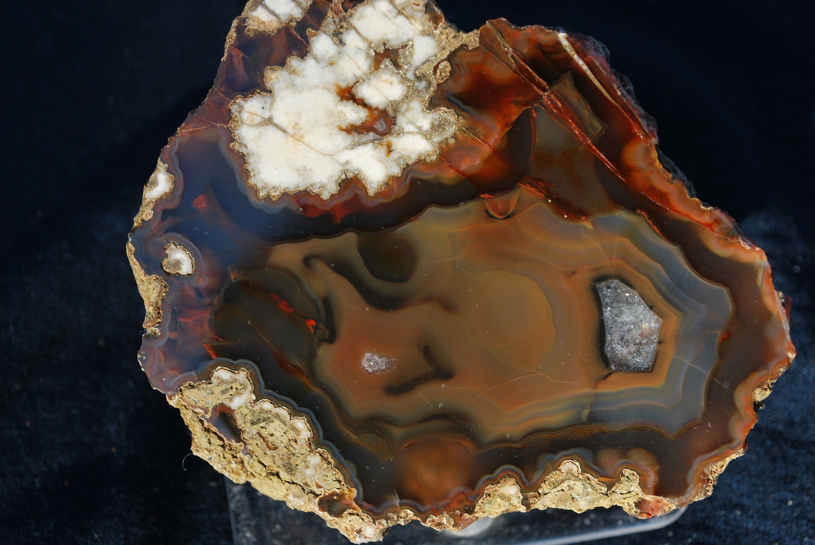Condor Agate Polished Display Specimen. 8cm X 7cm X 3cm. - Etsy