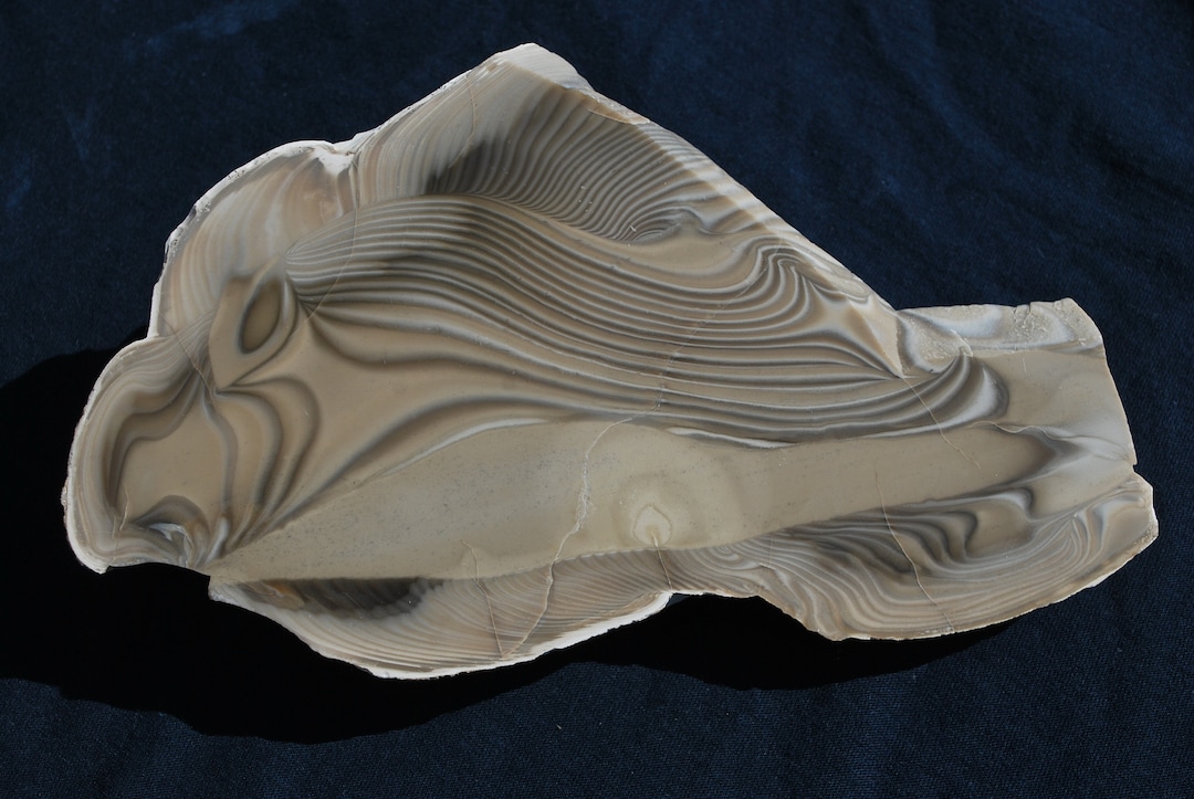 Polish Flint Polished Display Specimen. 19cm X 11cm X 2cm. - Etsy