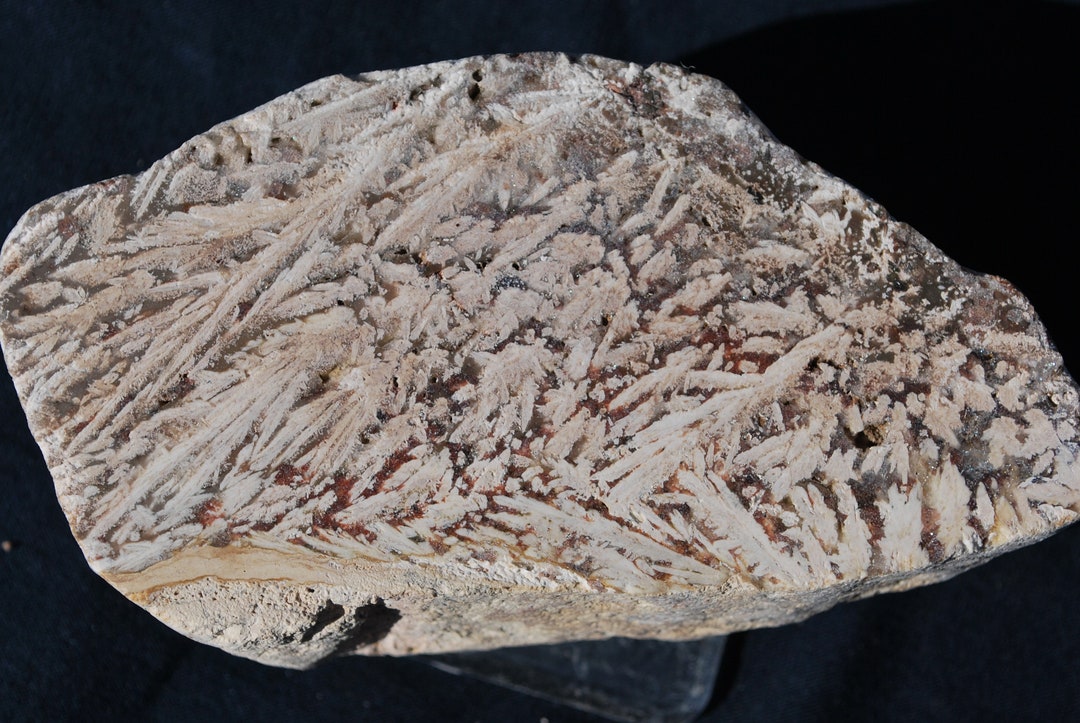 Snow Plume Agate Polished Display Specimen. 12cm X 6cm X 15mm Average ...