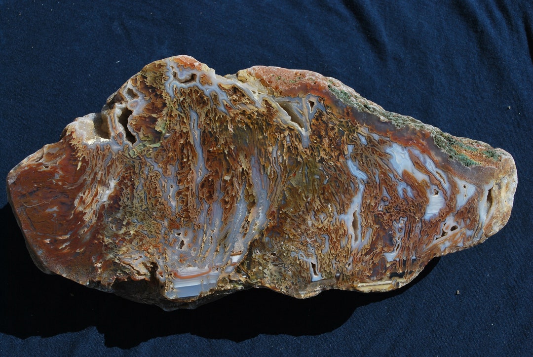 Bull Canyon Agate Slab Polished Display Specimen. 25cm X 12cm X 3.5cm ...