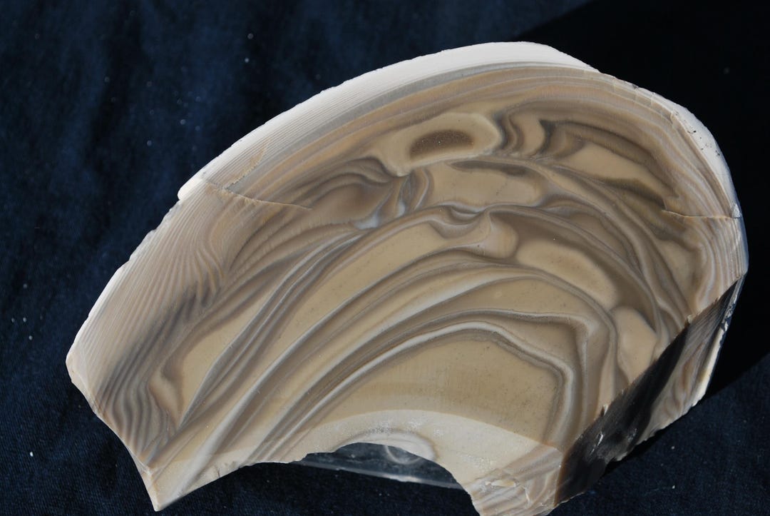 Polish Flint Polished Display Specimen. 13cm X 8cm X 2cm. - Etsy