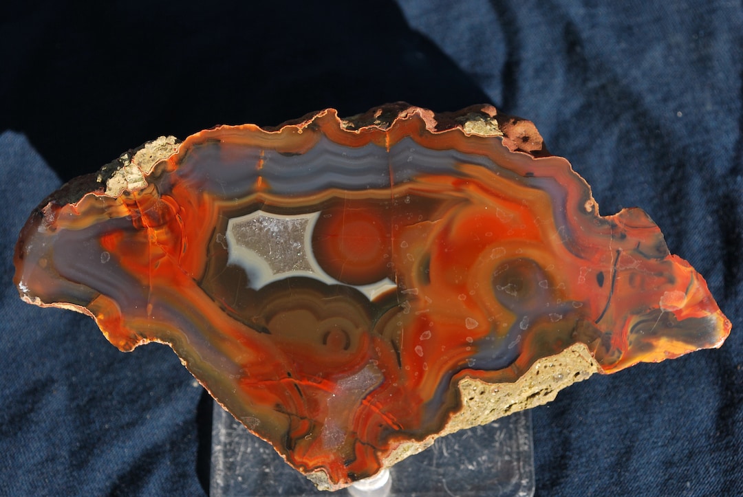 Condor Agate Polished Display Specimen. 13cm X 7cm X 2cm. - Etsy