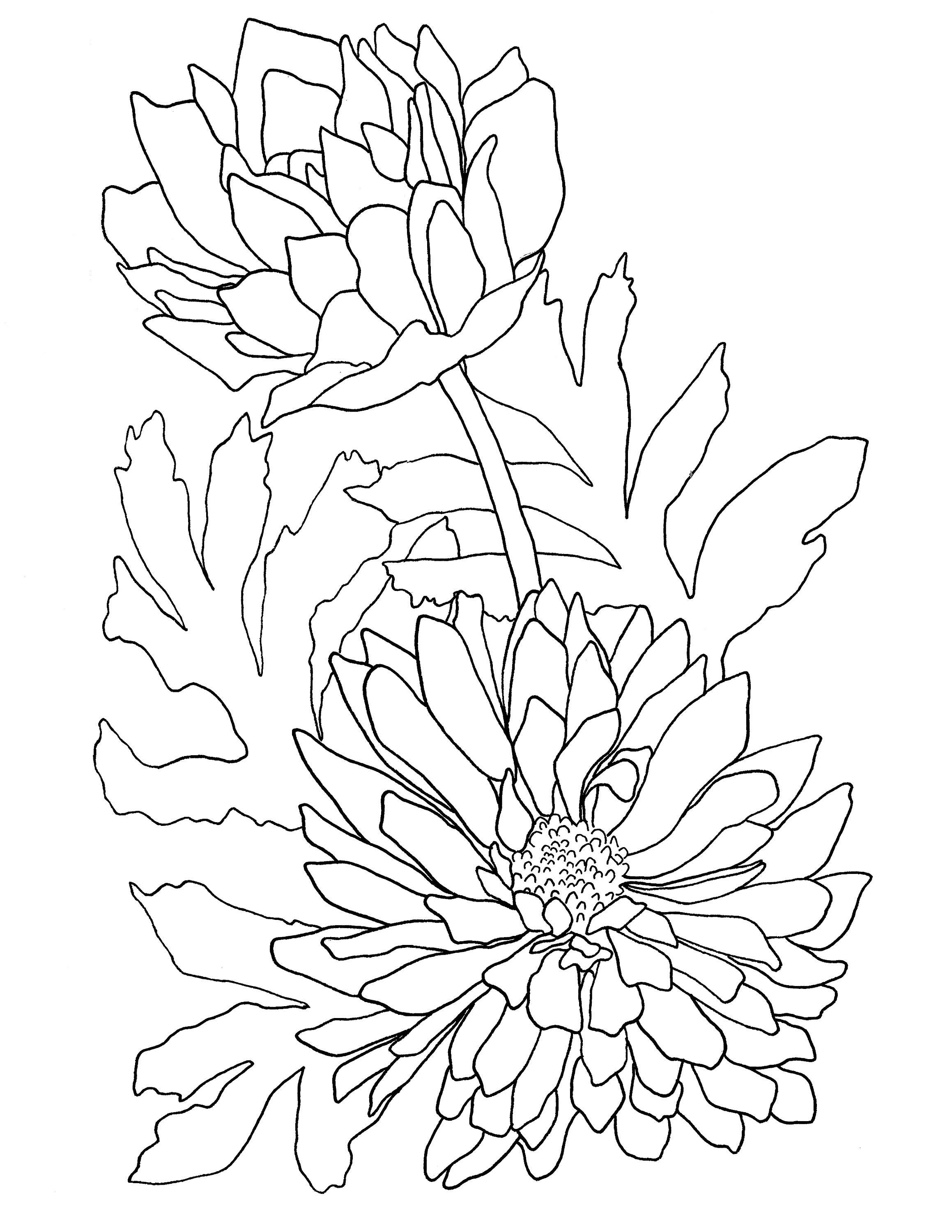 Flower Wall Art or Coloring Page Digital Download : Blue Daisies. Click ...