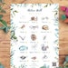 Nature Walk Checklist Scavenger Hunt, Primary, E.Y.F.S, Toddler ...