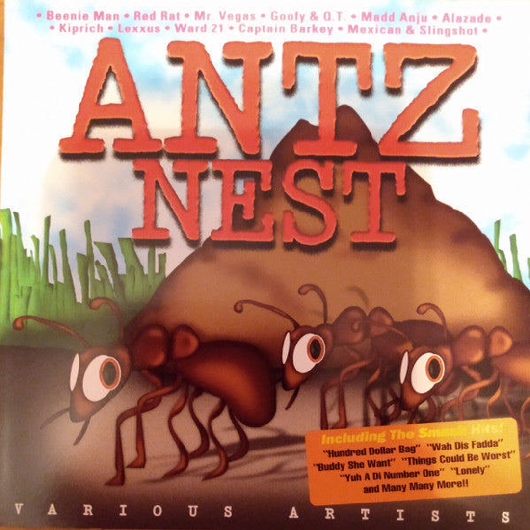 Various Antz Nest CD - Etsy
